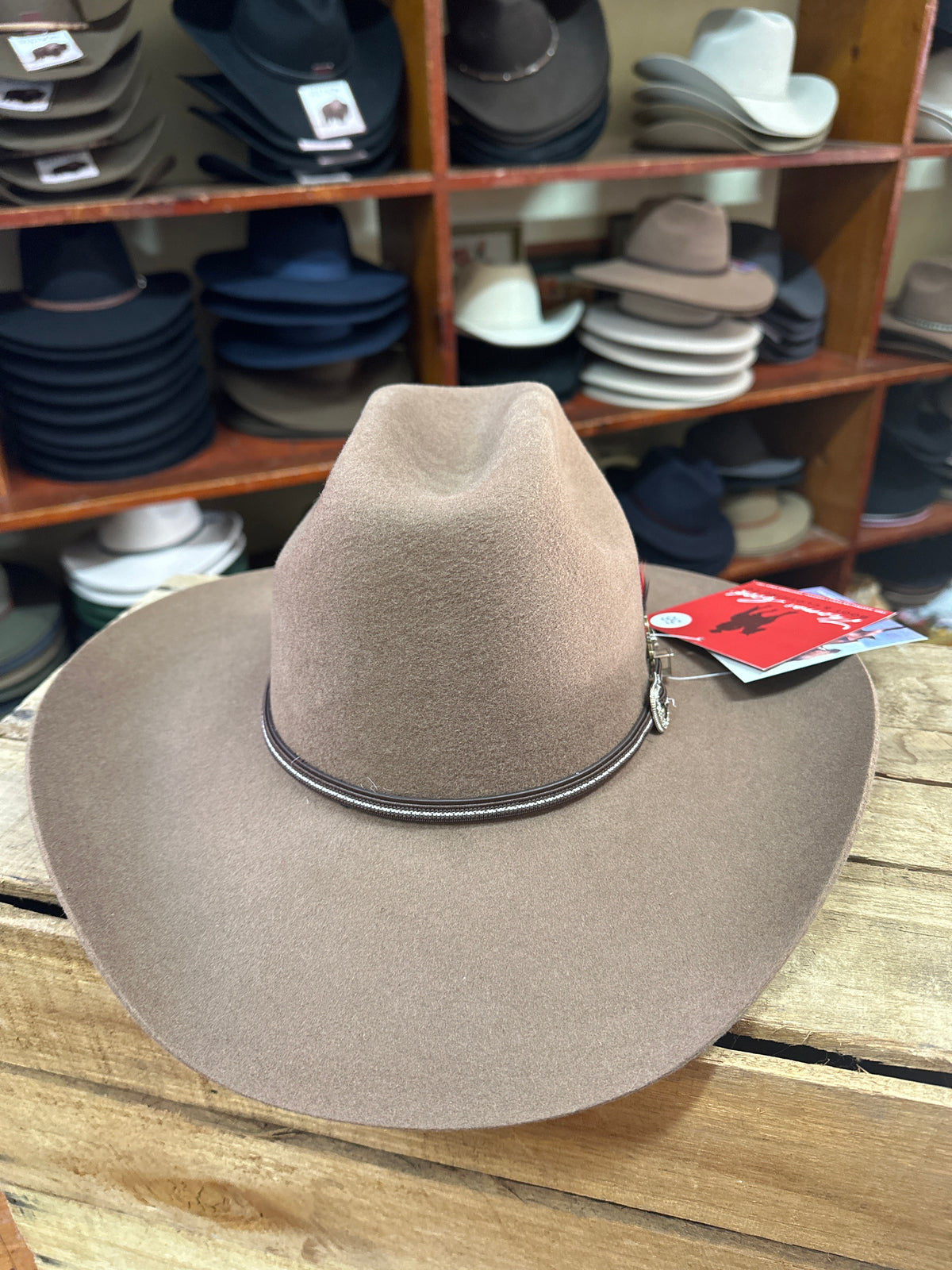 Thomas Cook Bronco Australian Pure Wool Felt Hat Fawn | Urban Dust Hat ...